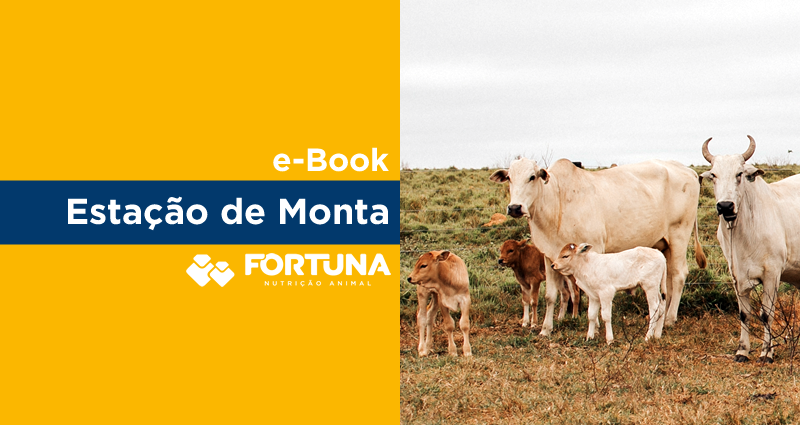 eBook - Estação de Monta