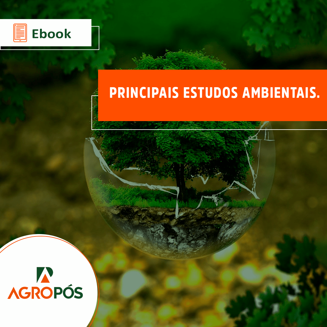 [EBOOK] Principais estudos ambientais!