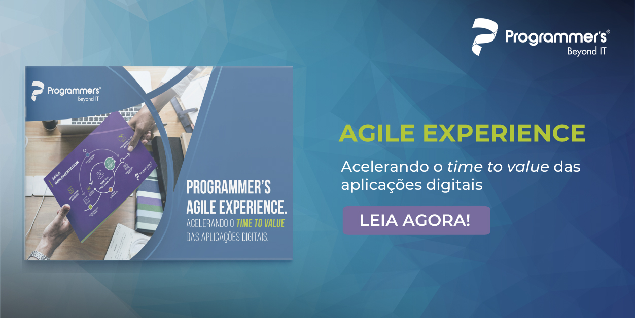 Programmer's Agile Experience