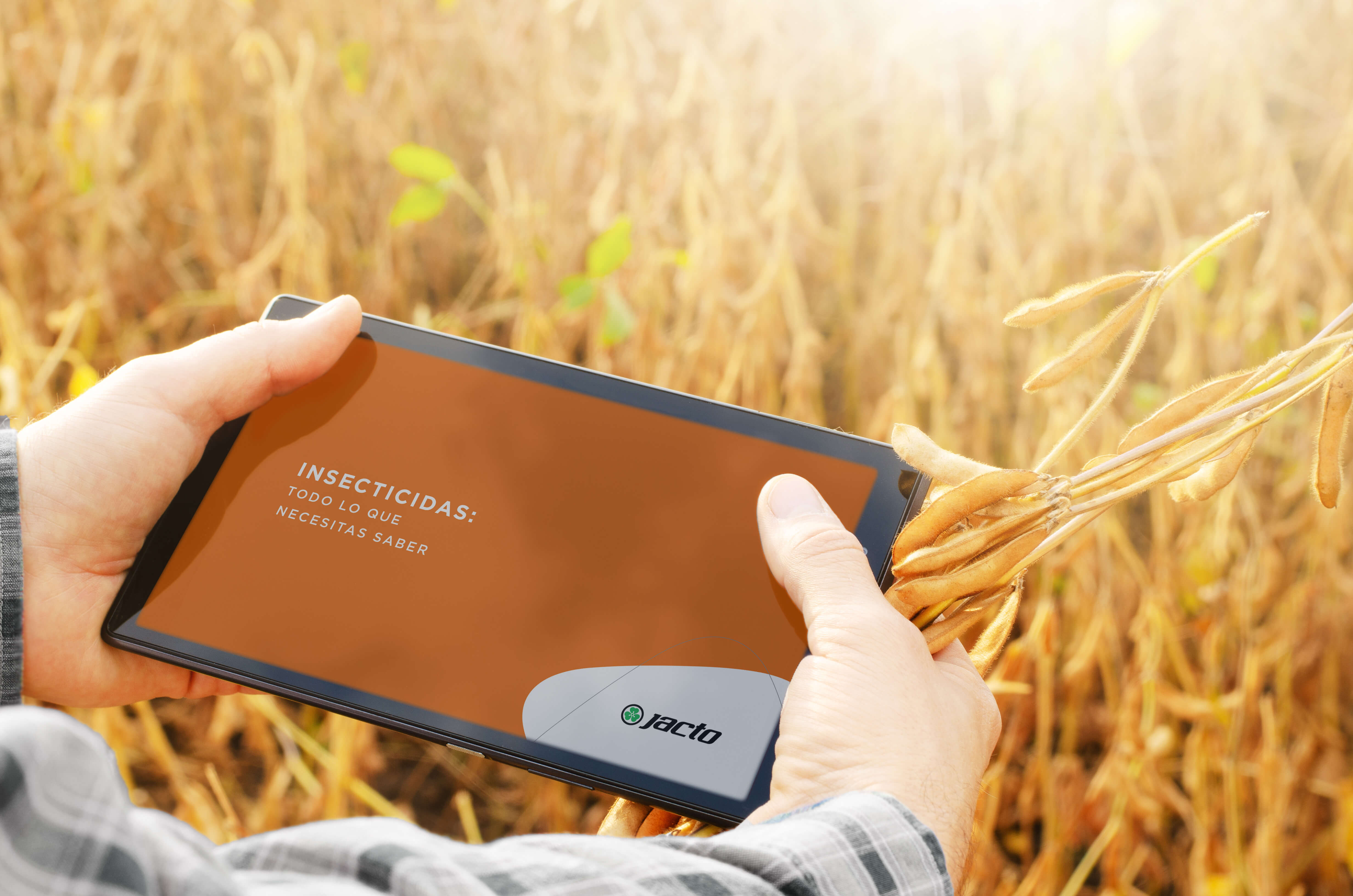 Insecticidas: todo lo que necesitas saber