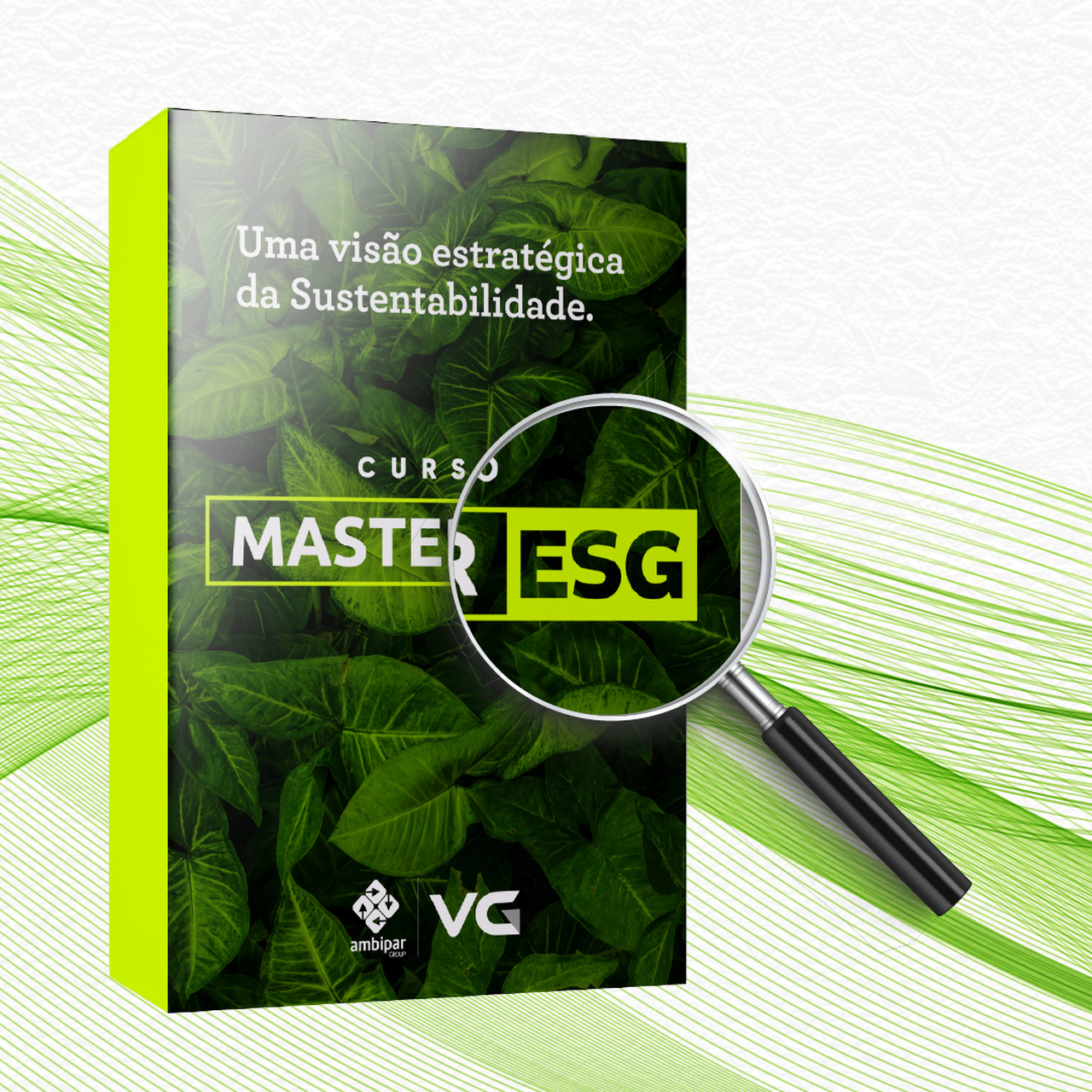 Curso Master ESG
