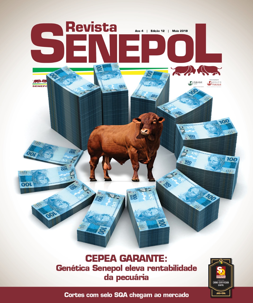 Revista Senepol 12